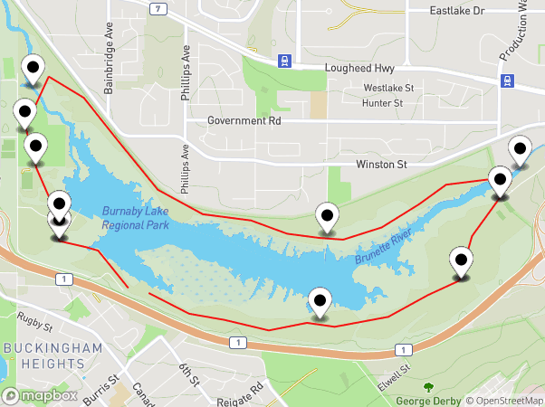 Burnaby Lake Regional Park hiking and walking trail in Burnaby, BC ...