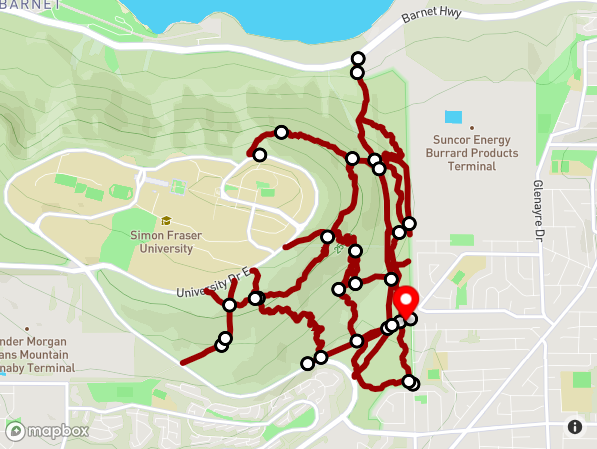 Burnaby Mountain Hiking and Biking Trails | Vancouver Trails