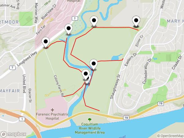 Colony Farm Regional Park | Vancouver Trails