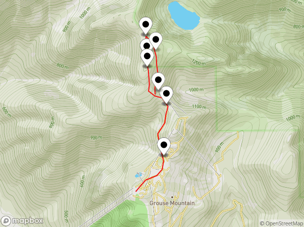 Dam Mountain Trail at Grouse Mountain | Vancouver Trails
